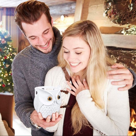 Other | Ceramic Owl Statue Figure Amazon Alexa Echo Speaker Stand Mount ...